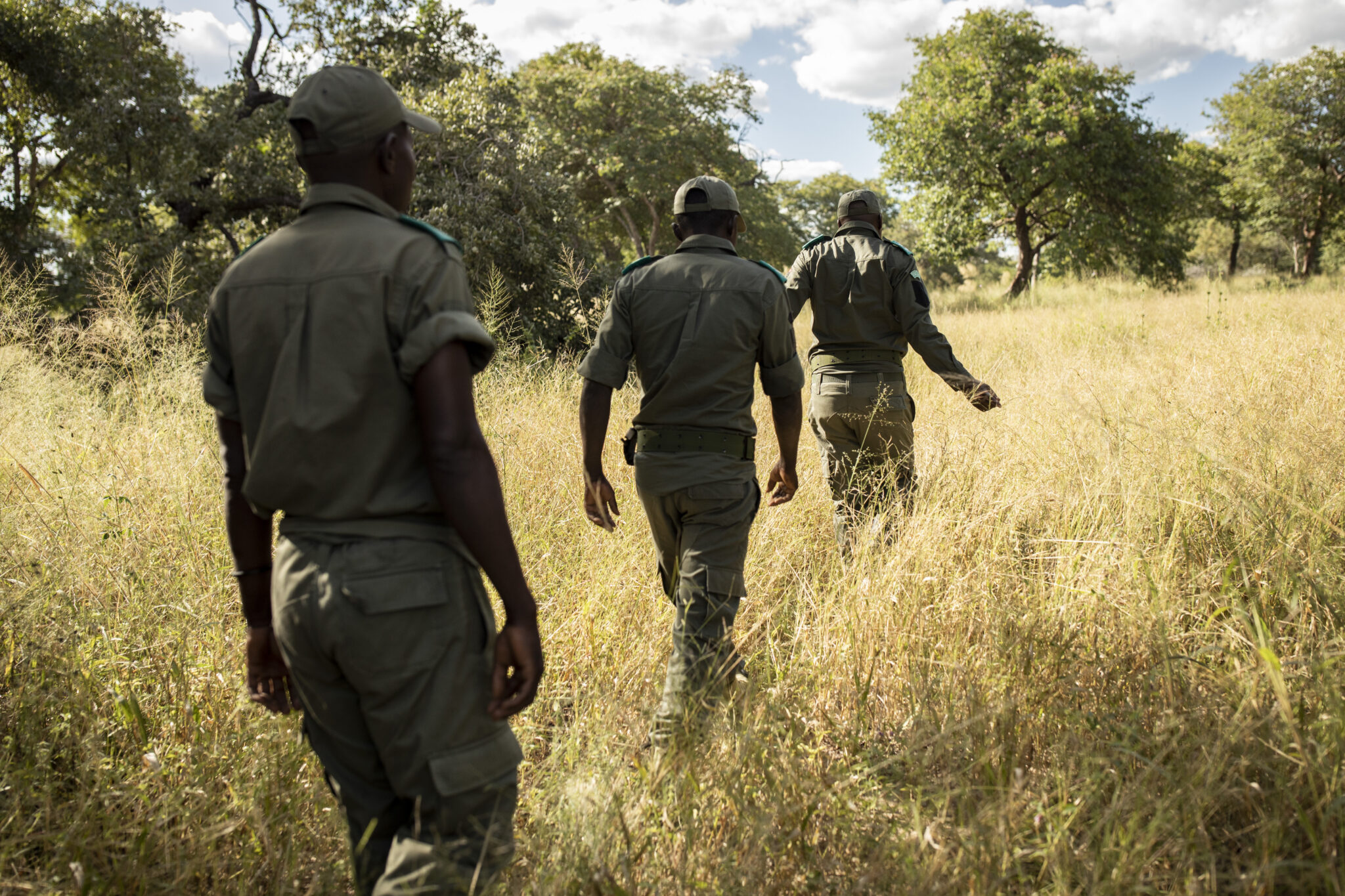 Mavinga National Park - Angola: - Uncover Kavango Zambezi