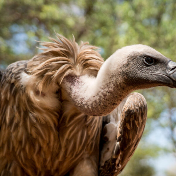 Mavinga National Park - Angola: - Uncover Kavango Zambezi
